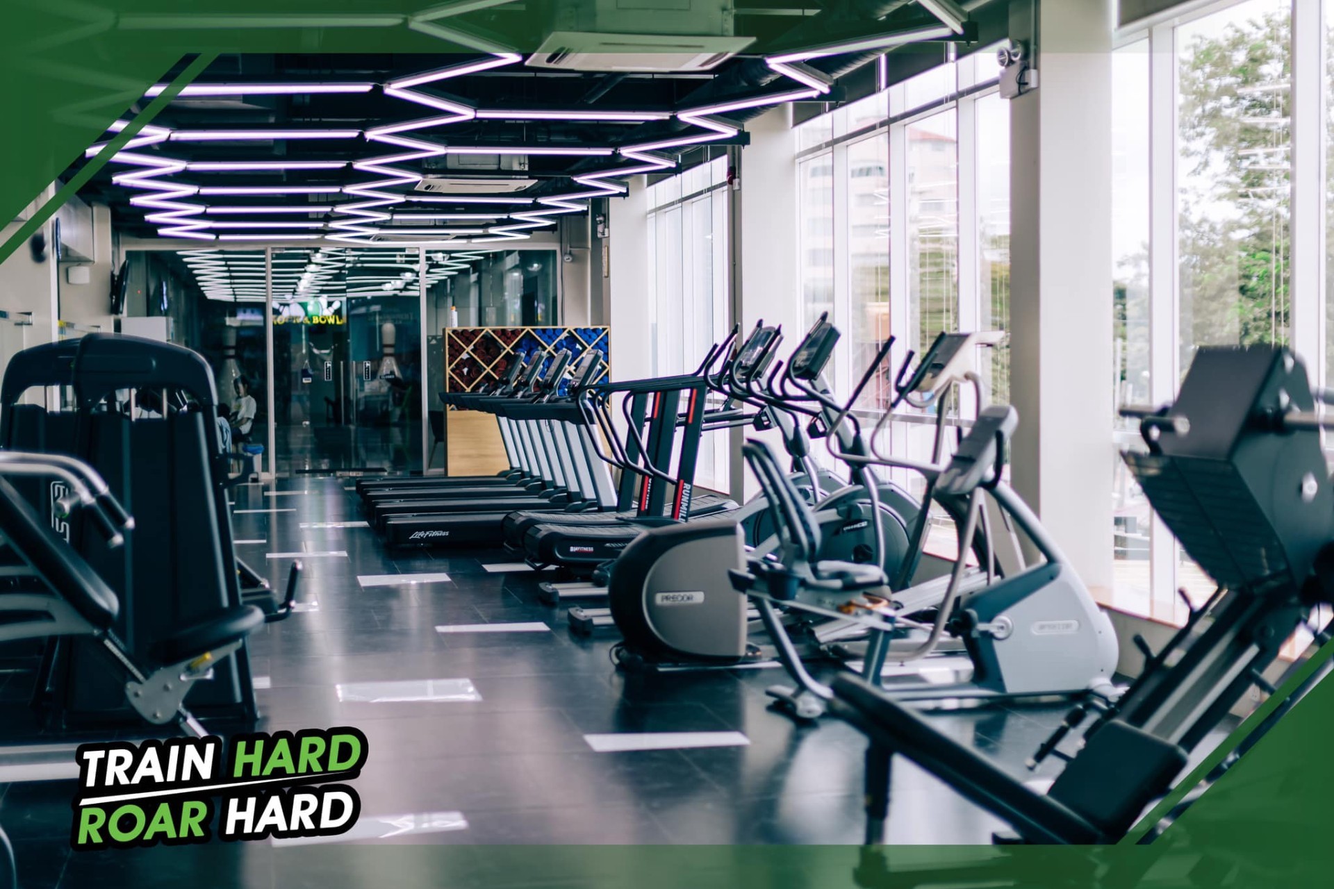 Roar Fitness | MyanLife - Life Experience